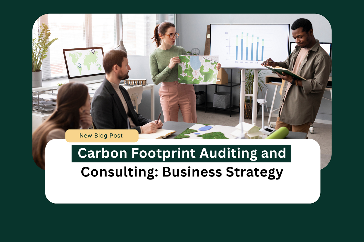 Carbon Footprint Auditing and Consulting: Business Strategy