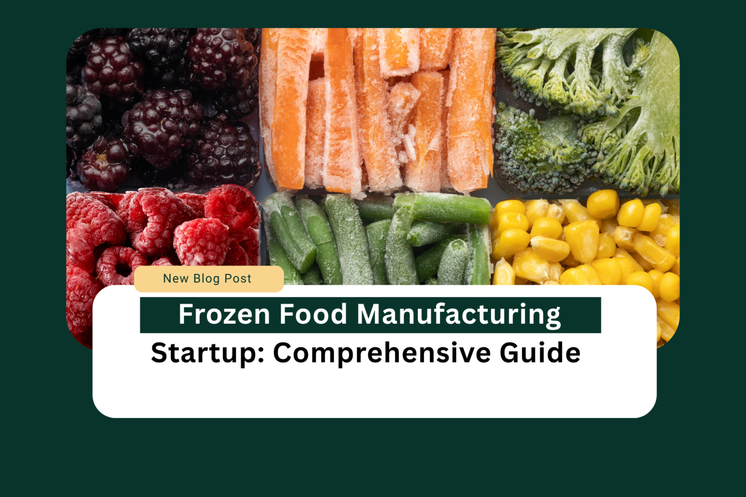 Frozen Food Manufacturing Startup : A Comprehensive Guide